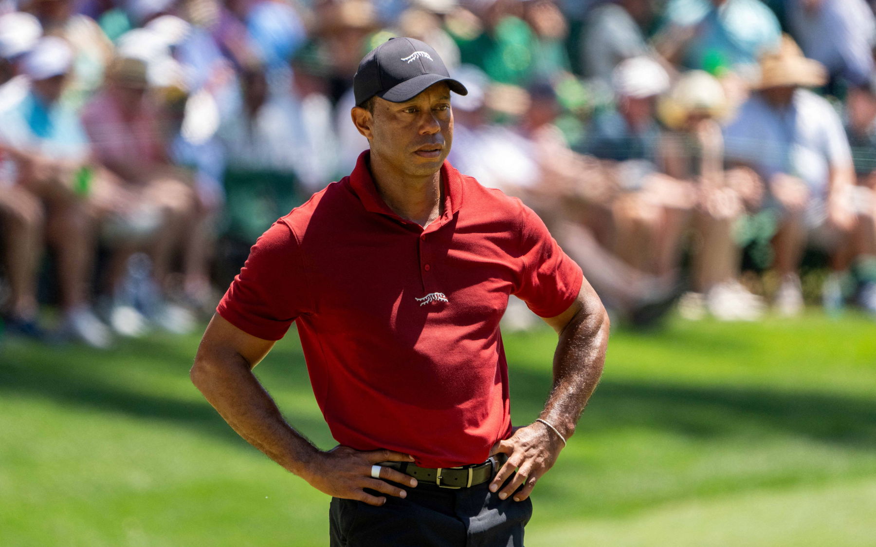 Golf commentary legend rates all 16 European Ryder Cup captains | Golfmagic